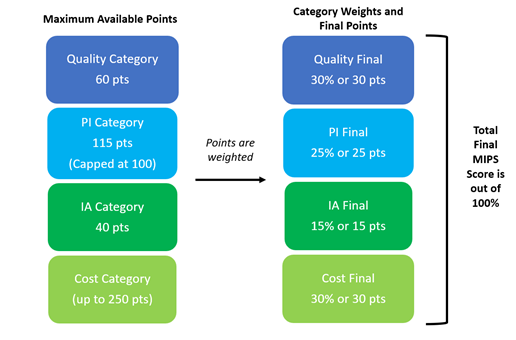MIPS_Step-by-Step_Guide
